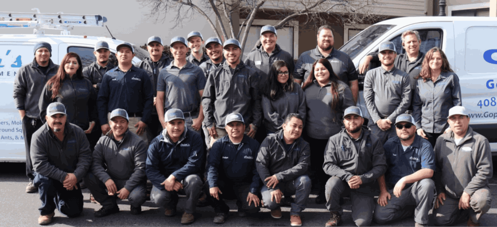 The 5 Best Ways to Get Rid of Rats in Your Home Fast - Smith's Pest ...