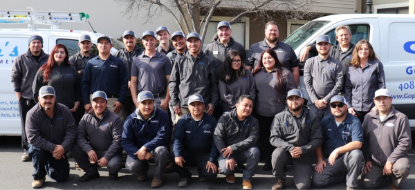 12 Telltale Signs You Have a Rat in Your House (And What to Do) - Smith ...