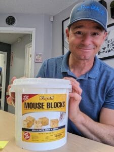 The 5 Best Ways to Get Rid of Rats in Your Home Fast - Smith's Pest ...