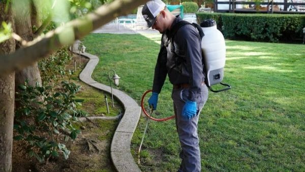 How to Get Rid of Beetles in Your Home & Yard [2025] - Smith's Pest ...