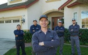 The 5 Best Ways to Get Rid of Rats in Your Home Fast - Smith's Pest ...