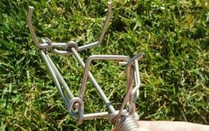 How to Get Rid of Gophers in Your Yard: 6 Effective Ways