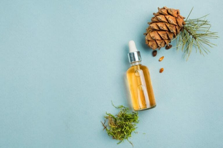 How to Get Rid of Ticks in Your Yard: A Complete Guide [2024]