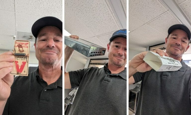 How to Catch & Trap a Mouse Like a Pro: 7 Easy Steps 🪤