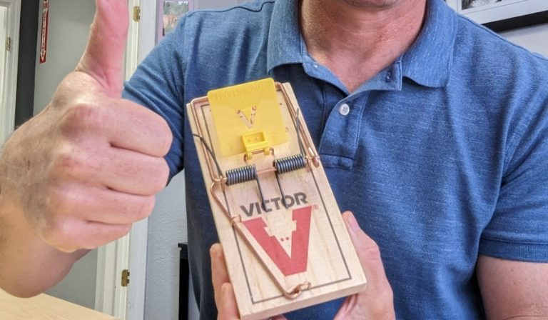 How to Trap a Vole: 5 Effective Steps - Smith's Pest Management