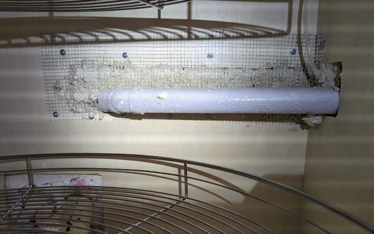 12 Telltale Signs You Have a Rat in Your House (And What to Do) - Smith ...