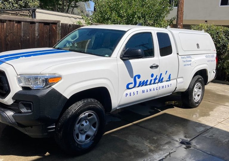 How to Prevent Rodent Problems in Your Berkeley Home - Smith's Pest ...