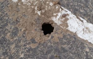 What to Do About Rat Holes in the Yard: A Homeowner’s Guide - Smith's ...